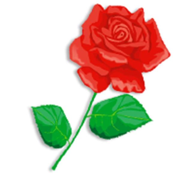 My Battle With Roses | The Musings & Artful Blunders of Scott D. Southard